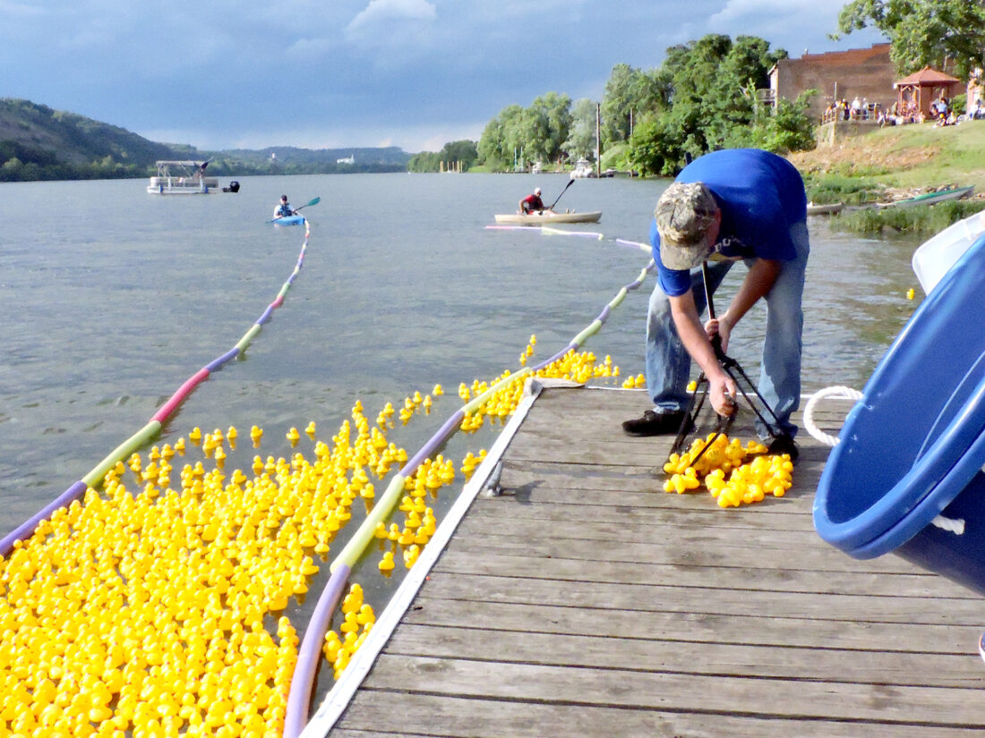 Duck Derby to return to Wellsburg next weekend | News, Sports, Jobs ...